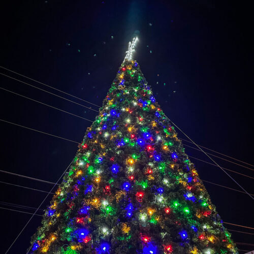 Share Your Christmas Spirit! | mediaBrew Communications
